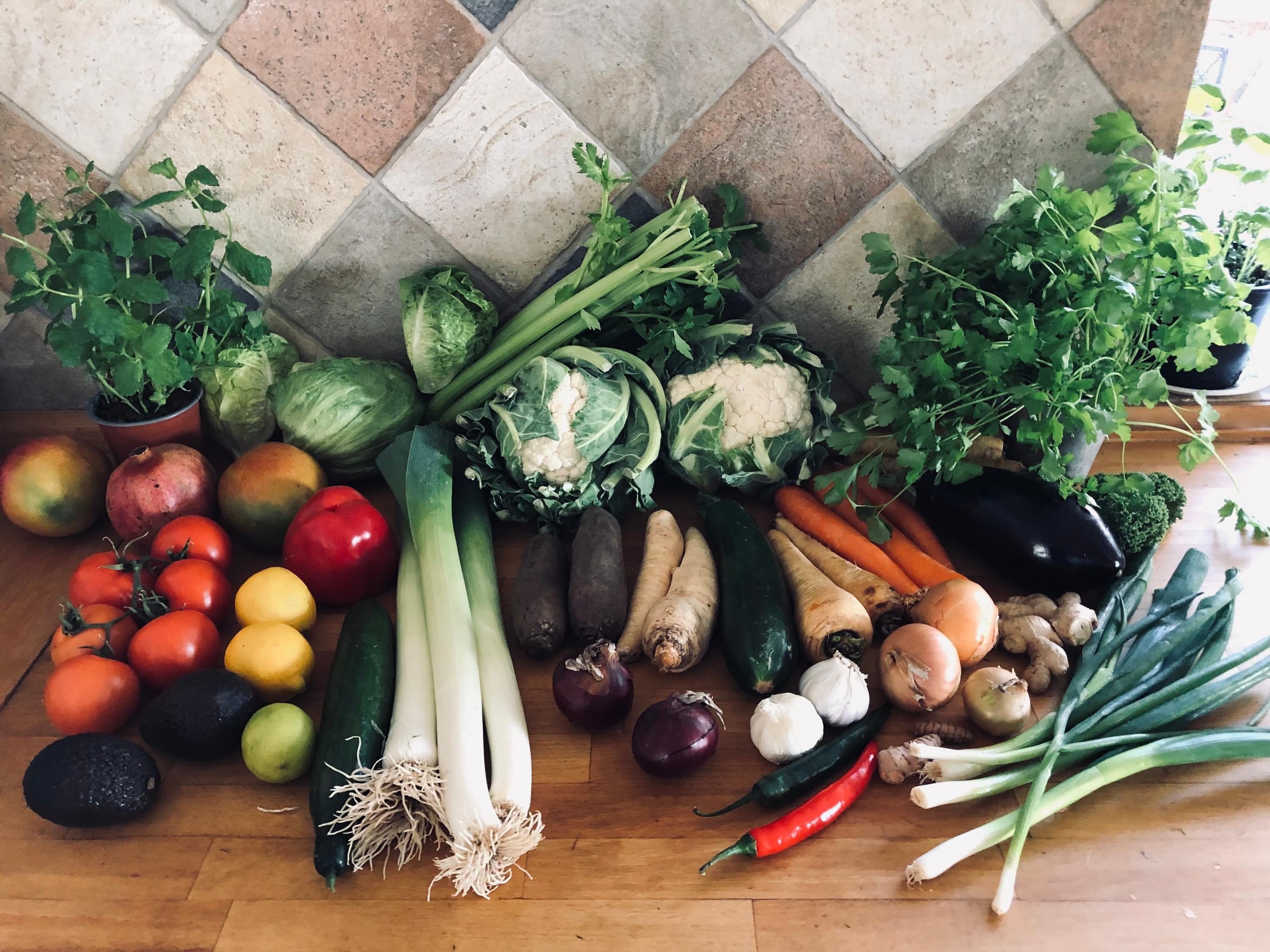 Plantebaseret madkursus